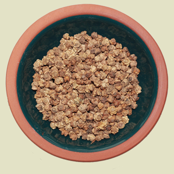 Beet Seed Web2 | A.P. WHALEY, LLC