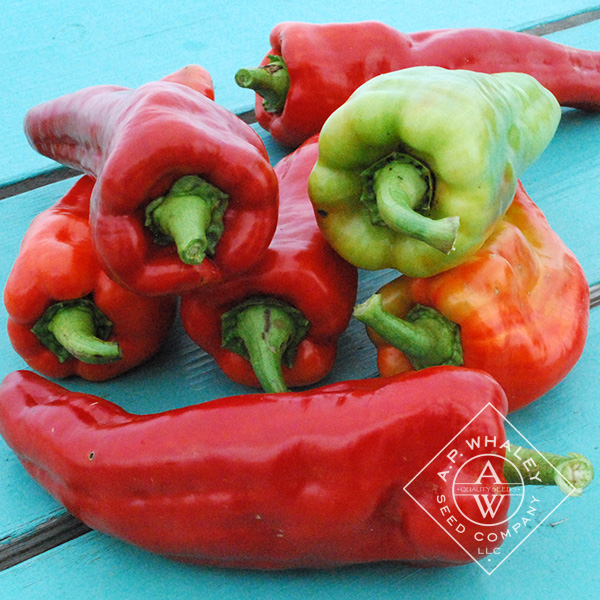 Peppers, Sweet | A.P. WHALEY, LLC