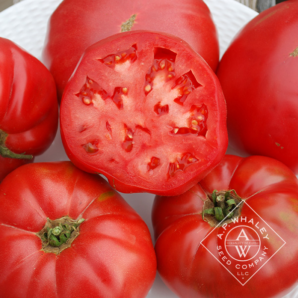 German Pink | A.P. WHALEY, LLC